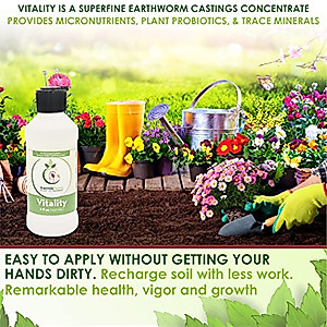 VermisTerra Vitality 16 oz - Worm Castings Super Concentrate, Plant Food, Fertilizer - Promotes Health, Amazing Growth for Vegetables, Fruit, Houseplants - Non-Toxic, Gentle - Will Not Burn