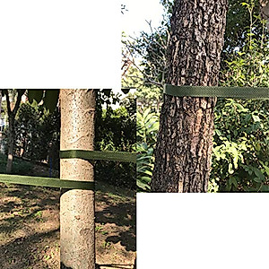 Alshurlife Green Tree Tie Strap 3/4'' x 50' Garden Tie for Outdoor Use Plant Supports Tree Tie for Staking and Guying, 1,500 Lbs Strength