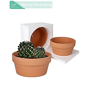 vensovo 8 Inch Terracotta Shallow Succulent Pot - 2 Pack Large Terra Cotta Clay Pot with Saucer, Cacuts Indoor and Outdoor Planters with Drainage Hole
