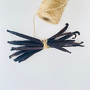 Big Crazy Buffalo Pure Bison Tallow Vanilla Coffee Body Scrub - Luxurious, Smooth Skin, Soften, Cleans and Smooths, Exfoliating, Hands, Feet, Essential Oils, Sugary, Salty, Exfoliate & Moisturize