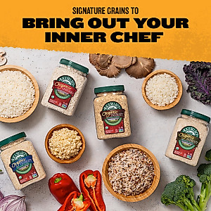 RiceSelect Organic Texmati White Rice, 32 Ounce (1 Count)