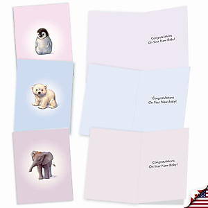 The Best Card Company 20 Assorted Baby Notecards Box Set 4 x 5.12 Inch with Envelopes (10 Designs, 2 Each) Zoo Babies AM6726BBG-B2x10