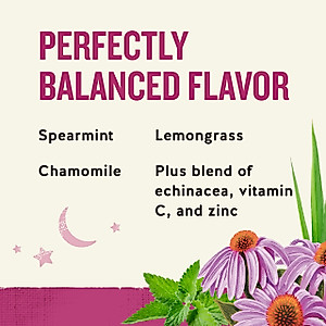 Celestial Seasonings Sleepytime Wellness Echinacea Immune Boost, Caffeine Free, 20 Tea Bags Box, (Pack of 6)