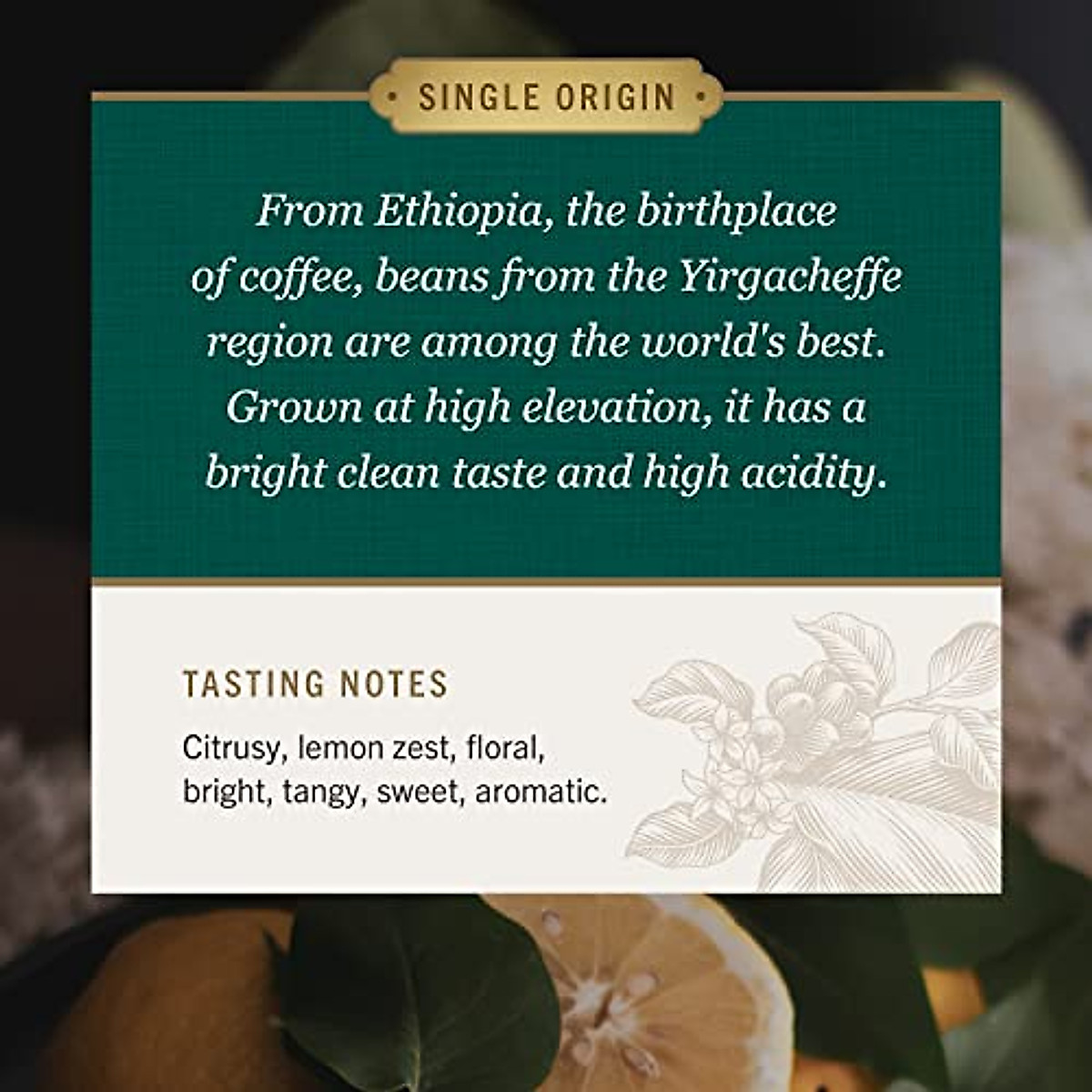 Barrie House Ethiopian Yirgacheffe Single Origin Whole Bean Coffee, 2 lb Bag | Fair Trade Organic Certified |Medium Roast | High Acidity and Clean Finish | 100% Arabica Coffee Beans