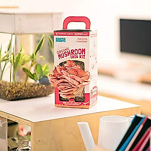 Back to the Roots Organic Pink Mushroom Grow Kit, Harvest Gourmet Mushrooms In 10 Days