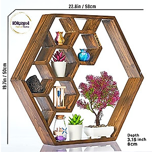 Luksyol Floating Wall Shelves Unique Design Bedroom Shelves, Honeycomb, Hexagon Shelf Wall Mounted, Kitchen Wall Shelves Handmade Wall Shelf for Bedroom from Natural Wood with 3 Cactus Pots