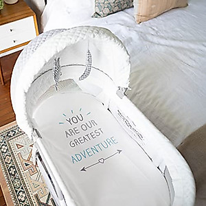 TruBliss Baby 2-in-1 Journey Convertible Infant Bassinet Crib Sleeper with Nightlight, Vibrations, Lullabies, and Nature Noises, Soft Grey