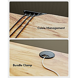 BANTI 55"x24" Standing Desk, Electric Stand up Height Adjustable Home Office Table, Sit Stand Desk, Light Rustic Brown Top