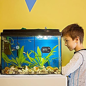 8 Pack Aquarium Thermometer Fish Tank Thermometer LCD Digital Thermometer Water Thermometer Reptile Thermometer with Suction Cup and 3.3ft Cord Fahrenheit/ Celsius for Fish Tank Terrarium Reptile