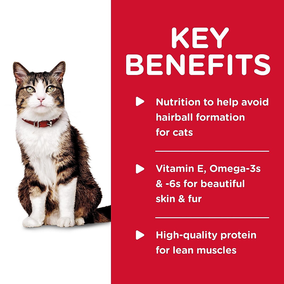 Hill's Science Diet Hairball Control, Adult 1-6, Hairball Control Support, Wet Cat Food, Chicken Minced, 5.5 oz Can, Case of 24