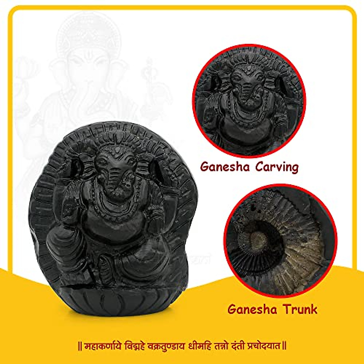 Vedic Vaani Natural Gandaki River Stone Vakratunda Ganesh Shaligram Statue (1 Pc)
