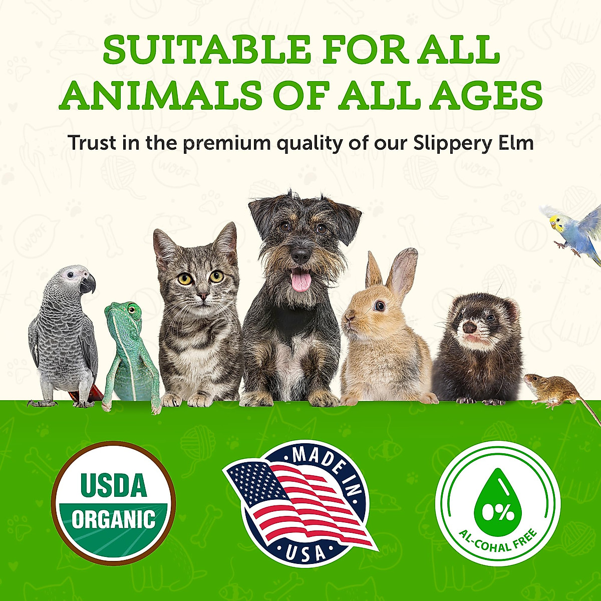 Animal Essentials Slippery Elm - Herbal Extract for Dogs and Cats, Promotes Healthy Digestion, Bowel Function, Certified Organic Herbs, All Natural, Respiratory Health, Liquid Formula - 1 Fl Oz