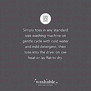 Linon Home Decor Products The Anywhere Washable Rug Boden Ivory & Pink 3' X 5' Accent Rug