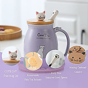 BigNoseDeer Kawaii Tea Cup Cute Cat Mug Purple Gifts for Women Christmas Gifts Ceramic Coffee Mug Tea Cup with Infuser and Lid Spoon Coaster Cute Stuff Cat Gifts Birthday Gifts Christmas Mugs 13oz