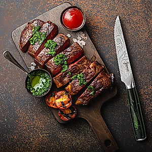 SENKEN Professional Steak Knife Set with Beautiful Engraved Pattern - Wasabi Collection - Razor Sharp Serrated High Carbon Steel & Emerald Green Resin Handle (6 Piece Steak Knife Set)