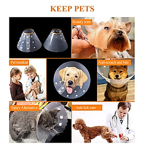 WishLotus Cat Cone Recovery, Soft Comfortable Adjustable Elizabethan Cat Collar, Pet Recovery E-Collar, Anti-Bite/Lick Pet Collar for Cat, Small Medium Dog, Rabbit (S, White)