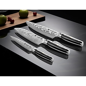 WIZEKA Damascus Knife Set 3 PCS,Super Sharp Kitchen Knife Set Made of Japanese Steel VG10,Full Tang Professional Chef Knife Set With G10 Ergonomic Handle