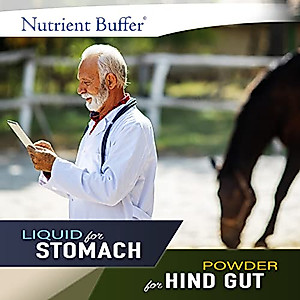 Nutrient Buffer HG - Equine Hind Gut Lower Gastric Digestive Support Formula for Horses