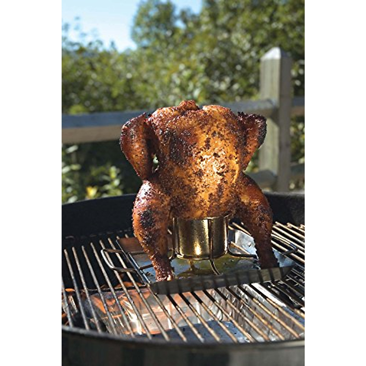 Steven Raichlen SR8016 Best of Barbecue Beer-Can Chicken Roaster Rack, Stainless Steel