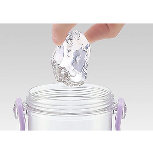 Skater PSB5TR Children's Water Bottle, Clear Bottle, 16.2 fl oz (480 ml), Happy & Smile Girls, Made in Japan