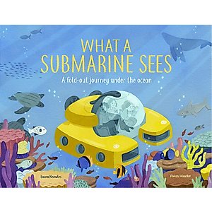 What a Submarine Sees: A fold-out journey under the waves
