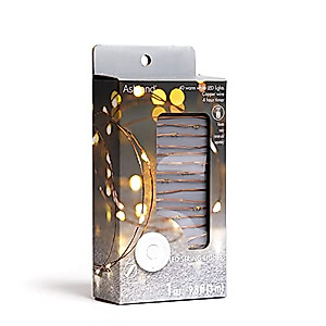 Ashland Michaels 40ct. Warm White Copper Wire LED String Lights