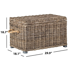 Safavieh Home Collection Salim Grey Rattan Storage Trunk