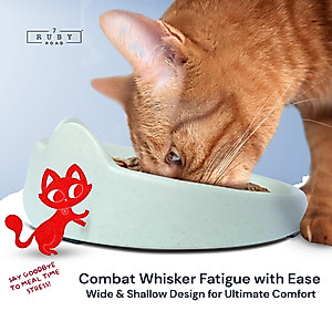 7 Ruby Road Anti Whisker Fatigue Cat Bowl, Set of 2 - Wide Cat Food Bowls, Wet and Dry Shallow Cat Food Dish, Small Cat Dishes for Indoor Cats, Cute Kitten Bowls Whisker Friendly & Relief, Non-Slip
