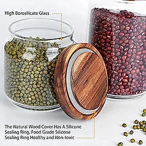Vensp Clear Borosilicate Glass Storage Jars with Airtight Wooden Lids,Set of 2-19/29oz,Glass Kitchen Storage Jar Canisters, Sealed Jars For Sugar Salt,Glass Loose Tea Storage Holder Container