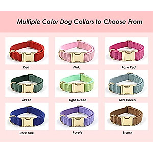 Personalized Dog Collar with Engraved Name and Phone Number Customization for Medium to Large Breeds with Gold Metal Buckle (Stripe Velvet)