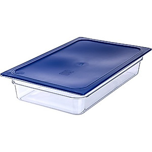 Carlisle FoodService Products StorPlus Plastic Food Pan, 4 Inches, Clear