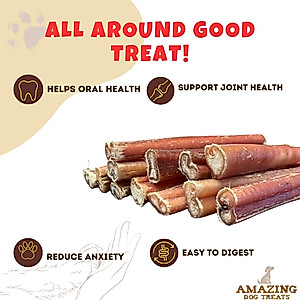 Amazing Dog Treats - 4-6 Inch Variety Bully Sticks (1 lb) - Premium Dog Chews - All Natural Rawhide Alternative - Long Lasting Dog Treats - No Hide Dog Chew - 100% Beef - Promotes Canine Dental Health