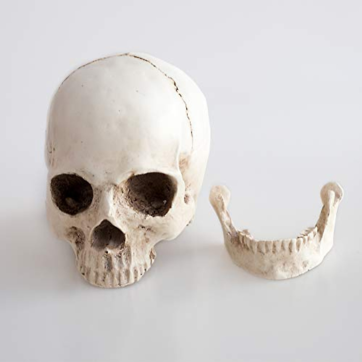 KABAKE Resin Medical Life Size Replica Realistic Human Skull Head Bone Model, Anatomy White Resin Skull High Precision Teaching Tool Halloween Decor