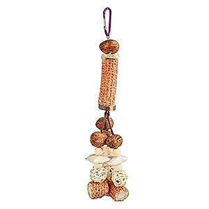 FUWE Bite Toy Edible Coloring Natural Materials Safe Corn Cough Chewing Toys for Parakeets for Parrots Rattan Ball Model (FUWE8zecd4gm0k-11)
