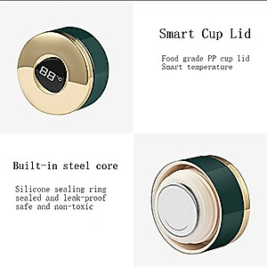 MMLLZEL Smart Thermos Bottle Temperature Display 316 Stainless Steel Vacuum Flask Waterproof Coffee Mug Keep Hot/Cold (Color : E, Size : 17x6.4cm)