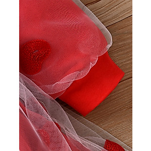 Infant Toddler Baby Girls Valentine's Day Outfit Long Sleeve Heart Lace Tulle Tutu Dress Princess Festival 2ps(Red, 9-12 Months)