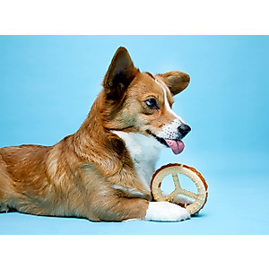 Hartz Chew ‘n Clean Chew Toy and Treat in One Chicken Flavored Ring Dog Toy, Medium
