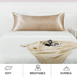 LCBD Satin Body Pillow Case for Hair and Skin, Taupe Silk Satin Body Pillow Case Cover, 20x54 Body Cooling Pillow Cover with Envelope Closure