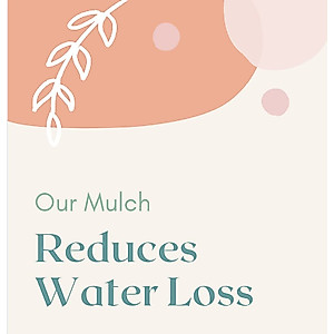 Urban Thumb & Co Ultra Fine Garden Plant Mulch - Top Cover for Indoor / Outdoor Potted House Plants - Compact Size, Potting Mix for Urban Plant Lovers- 3.25 Quarts