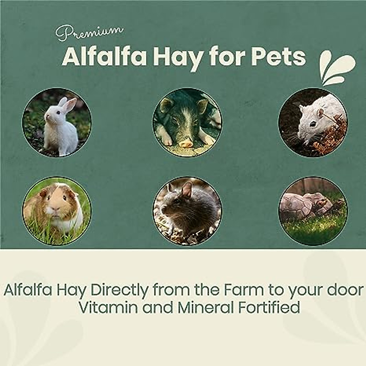 Bulk Fresh Alfalfa Hay 80oz by Bunny Honey - USDA Organic Hay for Small Select Pets, Guinea Pigs, Rabbits, Hamsters - Best Cut & Delivered Fresh - Promotes Healthy Digestive Function - 5 Pound