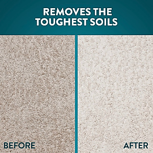 Prochem Dry Slurry Professional Cleaning Concentrate Detergent Powder for Carpet, 6 Lb Jar