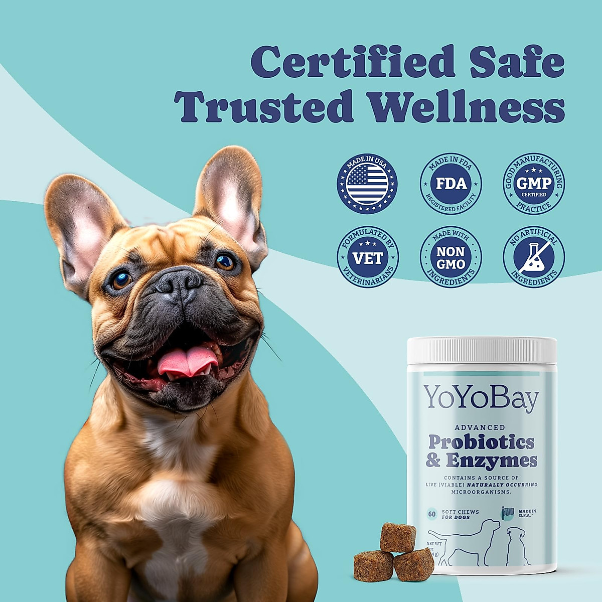 Probiotics for Dogs, Dog Probiotics and Digestive Enzymes, Pre & Probiotics Over 1 Billion CFUs, for Gut Health and Digestive Health, Yeast Balance, Itchy Skin Relief, Immune Support, 60 Soft Chews