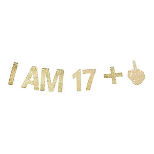 Morndew Gold Gliter I AM 17+1 Paper Banner for 18th Birthday Party Sign Backdrops Funny/Gag 18 Bday Party Wedding Anniversary Celebration Party Retirement Party Decorations