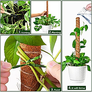 SMINDER Moss Pole for Plants Monstera, 2PCS 47.2 Inch Bendable Plants Stakes, Coco Coir Pole Potted Plants Support, Plant Sticks for Indoor Climbing & Growing Upwards