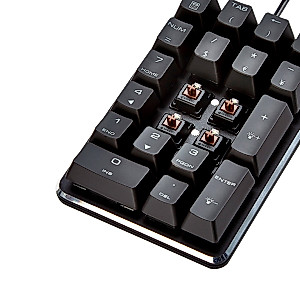 Qisan Mechanical Gaming Numeric Keypad/Keyboard 21 Keys Mini Numpad with Cherry MX Brown Switches White Backlight for iMac/MacBook - Black, Magicfore
