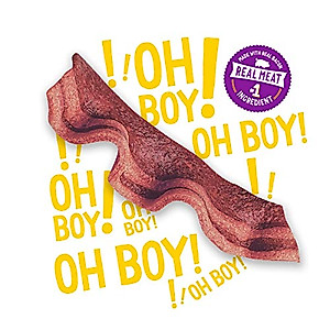 Purina Beggin' Strips With Real Meat Dog Treats With Bacon And Beef Flavors - (2) 26 OZ. Pouches