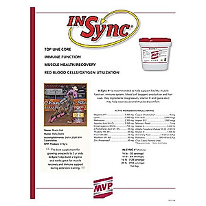 Med-Vet Pharmaceuticals in-Sync (16lb) for Muscle Health/Recovery in Horses…