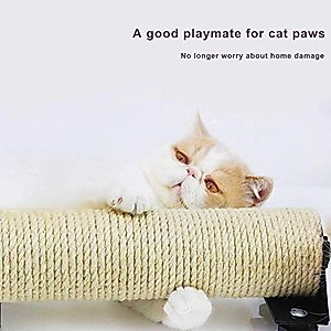 Cat Scratching Post Cage Mounted Cat Scratcher Space-Saving Sisal Scratch Post for Cat Grinding Claws Scratching and Climbing
