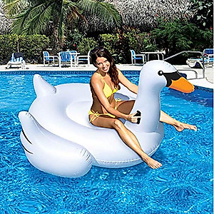 Swimline Giant White Swan/Flamingo/Black Swan/Parrot Floats for Swimming Pools (4 Pack)