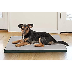 Furhaven Small Dog Bed Water-Resistant Two-Tone Kennel & Crate Pad w/ Removable Washable Cover - Green/Gray, Small